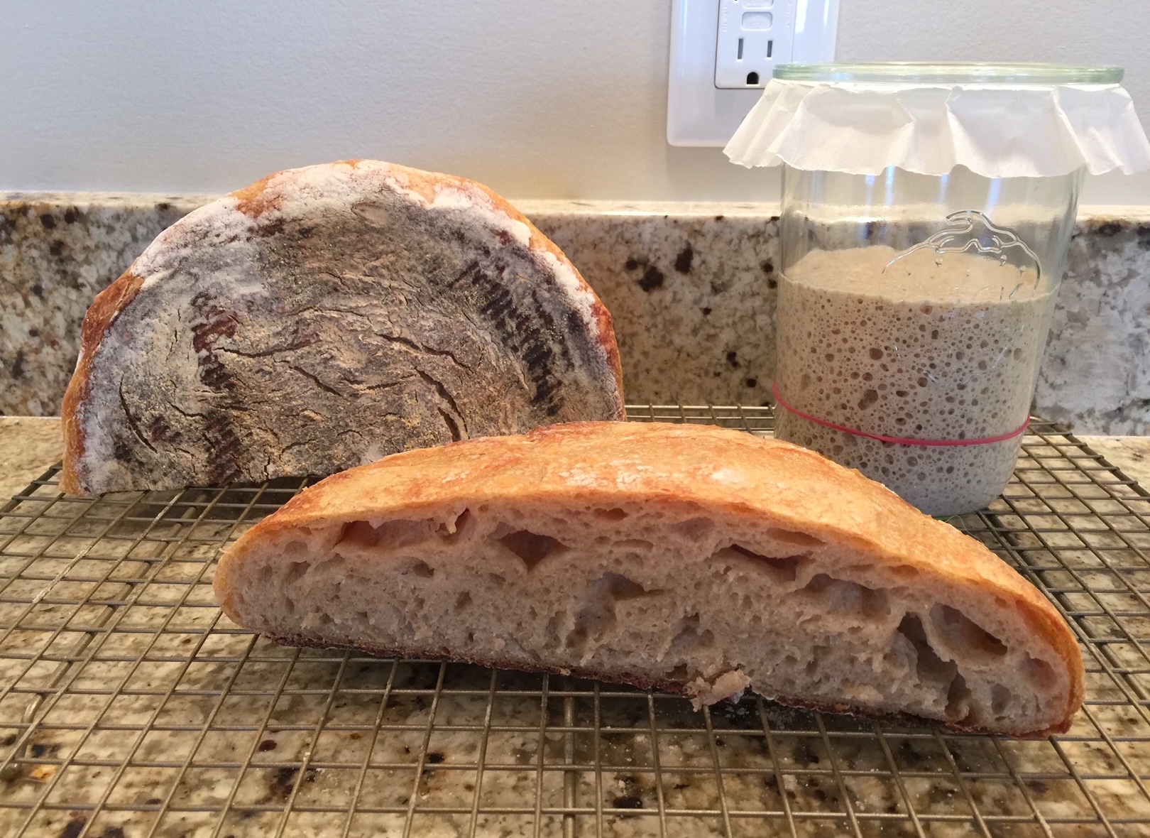 Young Starter Fermentation Baking Questions The Fresh Loaf young-starter-fermentation-baking-questions-the-fresh-loaf
